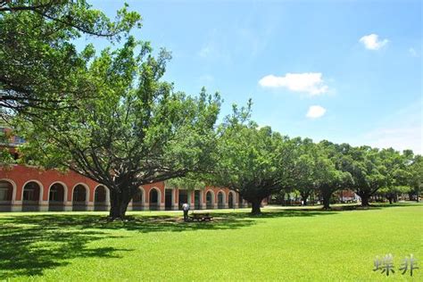 成大榕園》百年國泰樹 蝶飛四季 Udn部落格