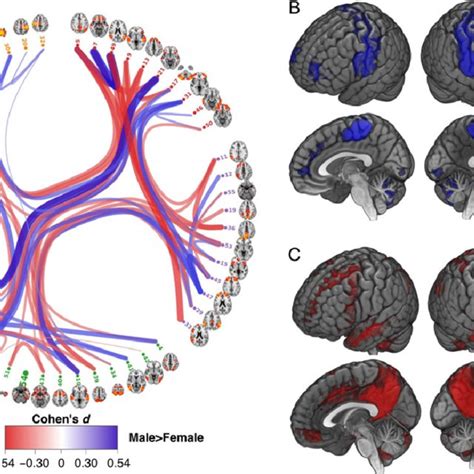 Results For Resting State Fmri Connectivity And Weighted Degree Of Download Scientific Diagram