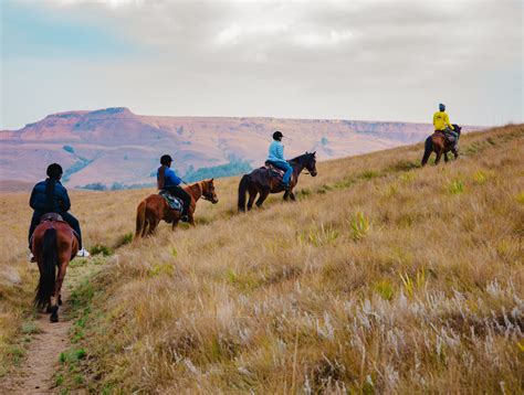 Luxury Southern Drakensberg Accommodation Premier Resort Sani Pass