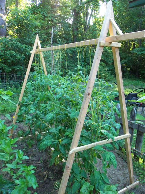 27 Tomato Trellis Garden Ideas You Gonna Love SharonSable