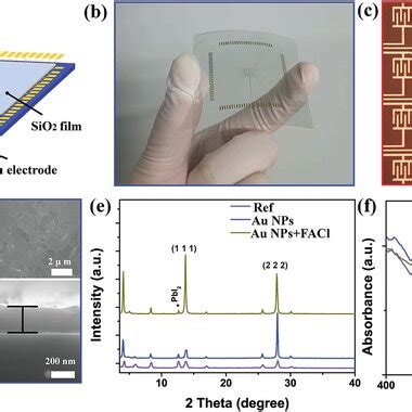Schematic Device Structure And Characterization A Schematic Download Scientific Diagram