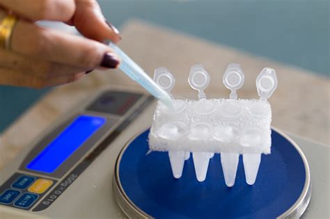 Agarose 젤으로 분석 샘플 및 Dna의 분리를 위한 장비는 실험실에서 파편 Dna에 대한 스톡 사진 및 기타 이미지