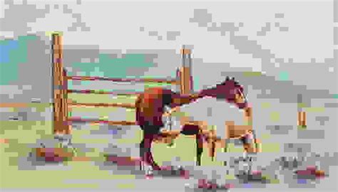 Painting Benoni Irwin