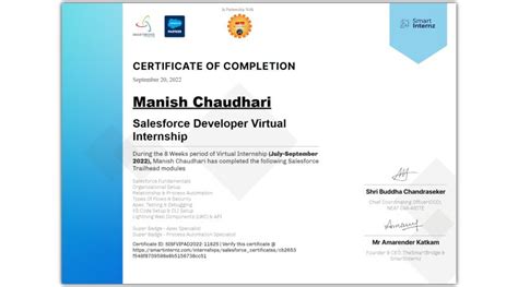 manish chaudhari on linkedin intership aicte salesforcedeveloper