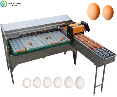 How Did Egg Size Sorting Machine Improve Efficiency In Chile