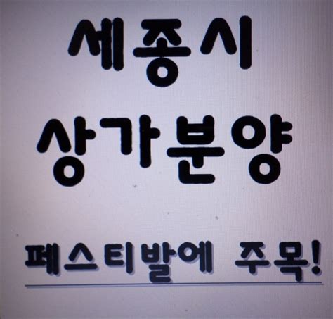 세종시상가분양 페스티발 정보 네이버 블로그