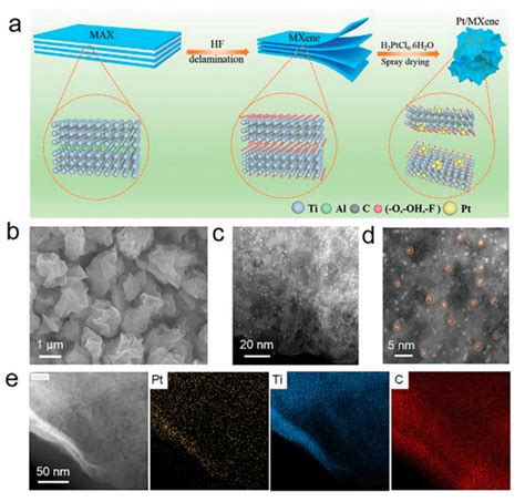 A Schematic Illustration For The Preparation Of Pt Mxene B Sem Download Scientific Diagram