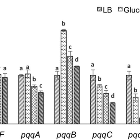 Expression Levels Of The Gcd Gene And Pqq Gene Cluster Of P Putida