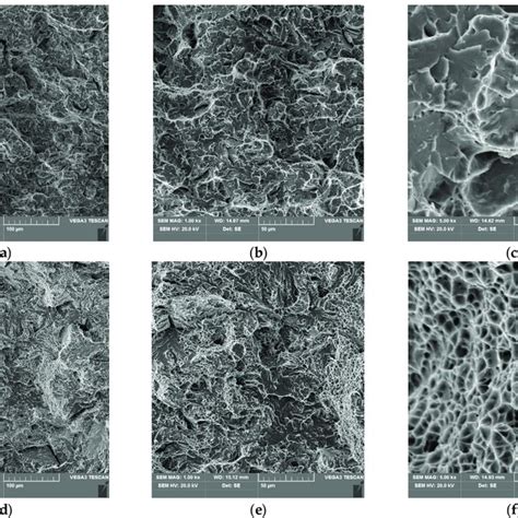 Sem Image Of The Fracture Surface Of The Specimens After Impact Download Scientific Diagram