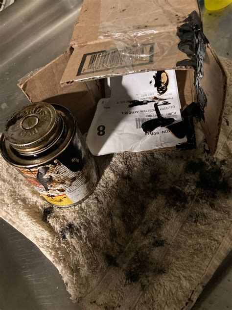 Tanglefoot Tree Pruning Sealer 8 Oz Brushcap Patio Lawn And Garden