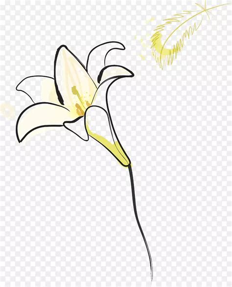 百合花简笔画百合花底纹PNG图片素材下载 图片编号7346548 PNG素材网