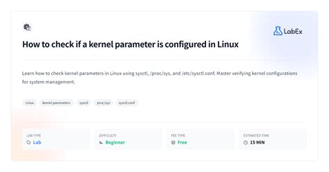 How To Check If A Kernel Parameter Is Configured In Linux Labex