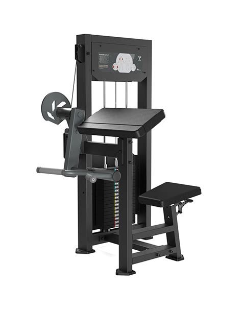 Seated Biceps Curl Ts 1010 Into Wellness