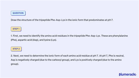 Solved Draw The Structure Of The Tripeptide Phe Asp Lys In The Ionic
