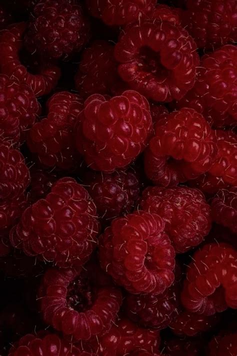 Raspberry Season