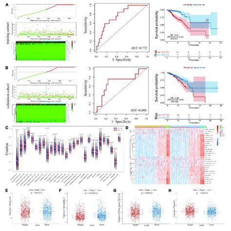 Heatmap Distribution Of Risk Scores Survival Status And