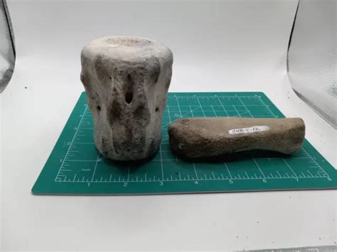 Miocene Fossil Whale Vertebra And Flipper Bone From Yorktown Fm 53 92