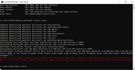 Boilerplate Maui Project On A Clean 1710 Preview 11 Install Doesnt