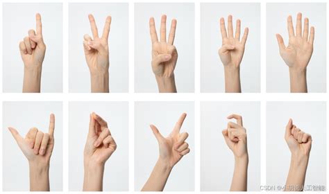 基于androidopencvcnnkeras的智能手语数字实时翻译——深度学习算法应用含python、ipynb工程源码数据集（二）51cto博客智能手语翻译器