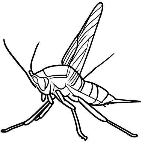 Grasshopper Vector Illustration Line Art Premium Ai Generated Vector