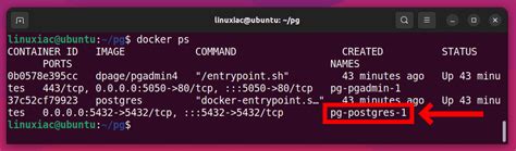 How To Run PostgreSQL With Docker A Step By Step Guide
