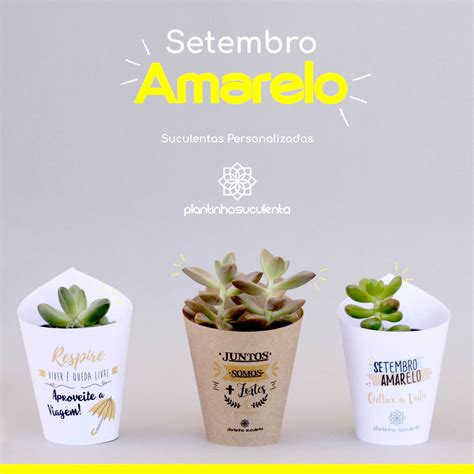 Suculentas Setembro Amarelo Brinde Personalizado Setembro