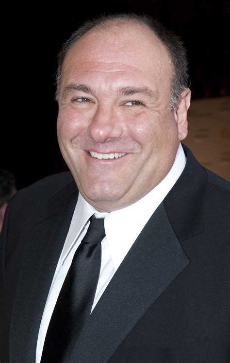 Actors From The Sopranos Who Have Died 60 Photos Moonagedaydream Film