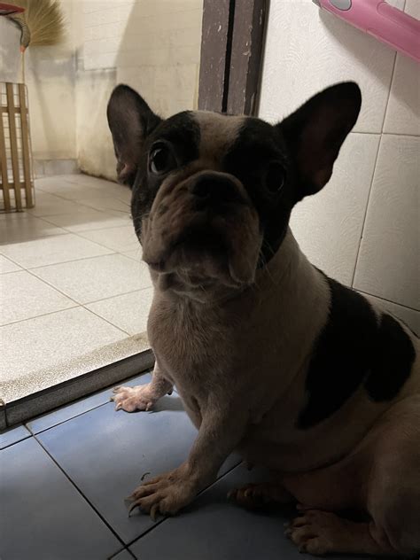 ノット 🐻‍ ️ On Twitter ปวดท้องเข้าห้องน้ำตอนกลางคืน น้องก็คือมาหนังเฝ้า