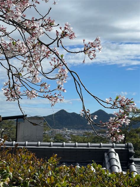 다카마쓰 여행 고토히라에서 다카마쓰 리쓰린 공원 야끼도리 엔기야 다카마쓰 마트 네이버 블로그