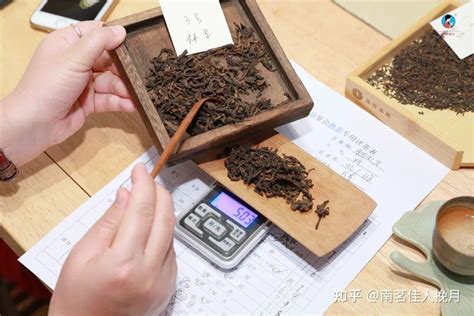 不只是投茶量！影响茶汤浓淡的还有这些因素！ 知乎