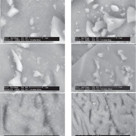 Fesem Micrographs Of Yagce 3 Powders A Under Irradiation At 5 Kgy