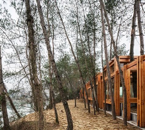 Riverside Visitor Centre In China Built Around Existing Trees Architecture Dna Design Wood