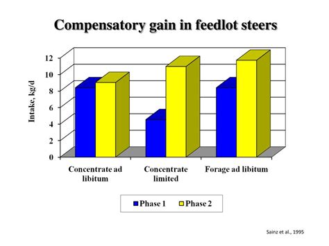 Ppt Stocker Programs Feedlot Performance And Carcass Merit