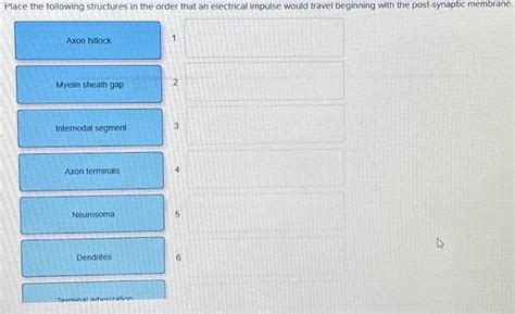 Solved Place the following structures in the order that an | Chegg.com