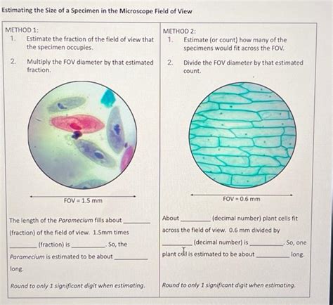 Solved Estimating The Size Of A Specimen In The Microscope Chegg Com