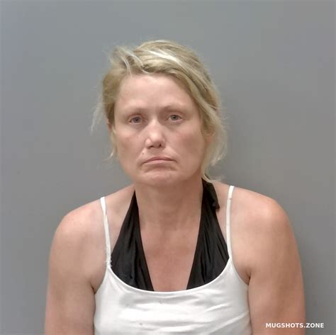 WILKERSON TRACI DEANNA Calhoun County Mugshots Zone