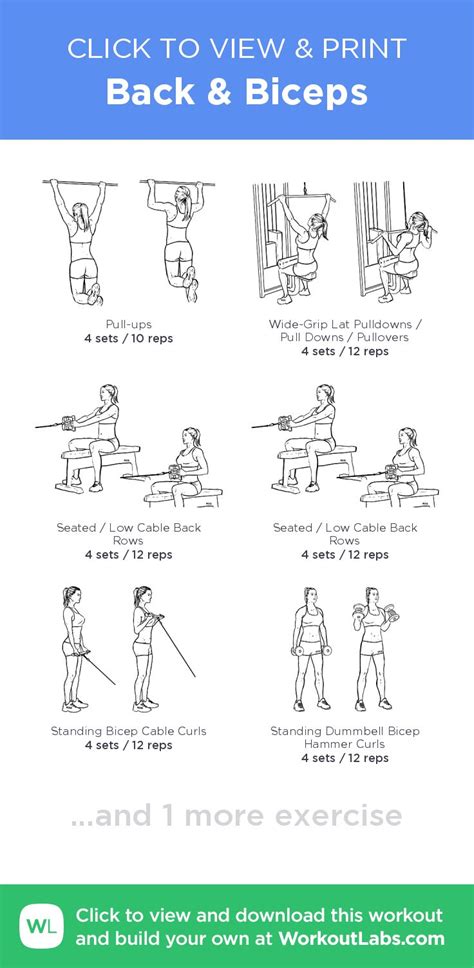 Back And Biceps Click To View And Print This Illustrated Exercise Plan