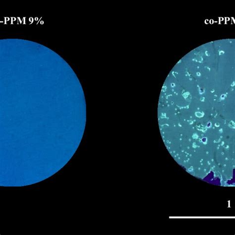 Optical Microscope Images Under 386 Nm Uv Light Of The Surface Of 30