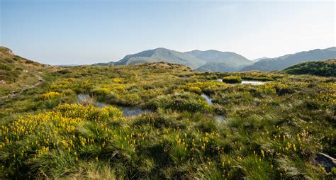 Ipbes Values Assessment Overview With Ipbes Co Chair Professor Mike Christie