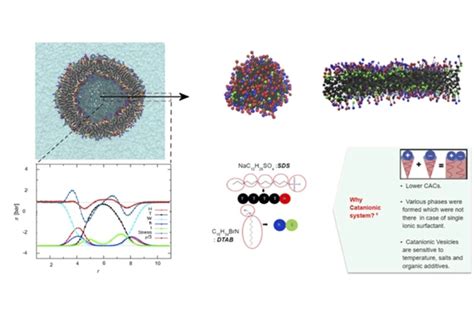 Phase Formation In Catanionic System Using Dissipative Particle