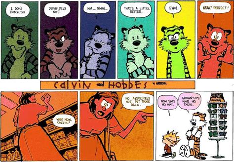 Completeist Calvin And Hobbes Of The Day Sunday Edition
