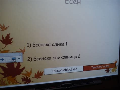 Македонски јазик