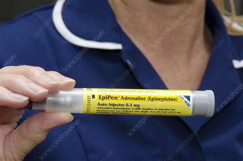 Epipen Adrenaline Auto Injector Stock Image C015 5941 Science
