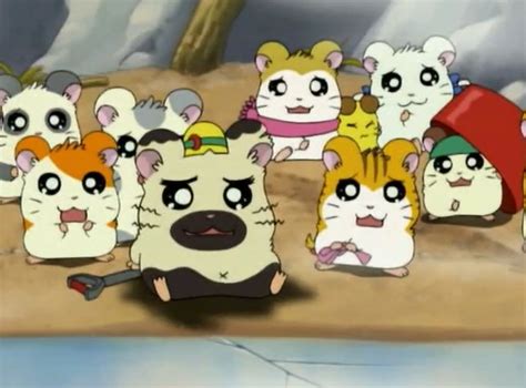 Image 23087png The Hamtaro Wiki Fandom Powered By Wikia