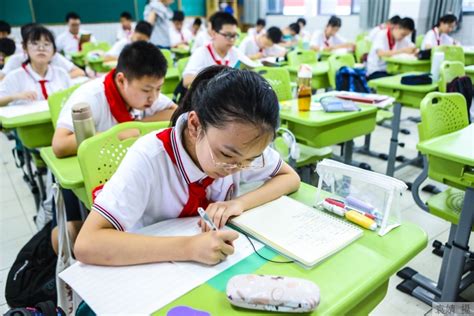 什么样的课后作业有趣又有用？上海发布《高质量校本作业体系设计与实施指南》教育 文汇网