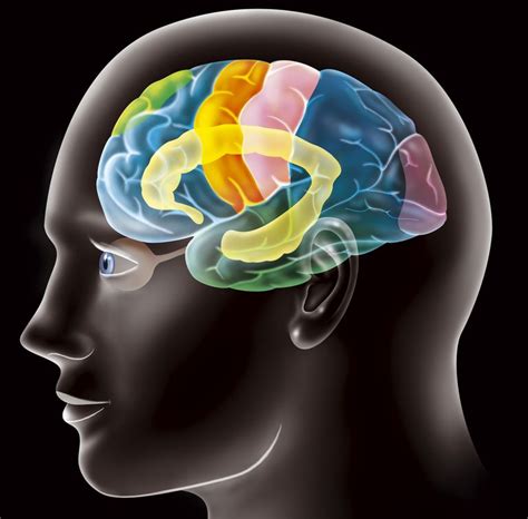 Large Vessel Or Cortical Stroke Overview
