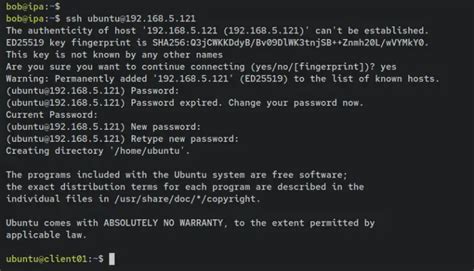 How To Install Freeipa Server With Docker On Debian 12