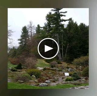 Opengl Es Android Video Encoding Quality With MediaCodec Stack