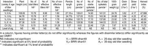 Effect Of Interaction Of Variety And Age Of Tiller Seedlings On Crop Download Scientific