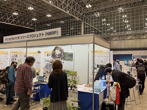 第45回日本分子生物学会（2022年11月30日 12月2日） 広島大学両生類研究センター 進化発生ゲノミクス研究グループ